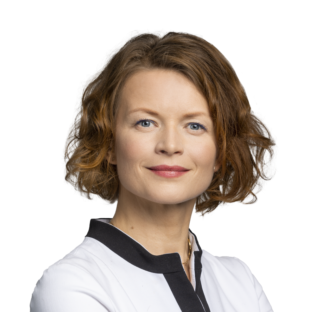 Baltic Horizon Fund - Northern Horizon